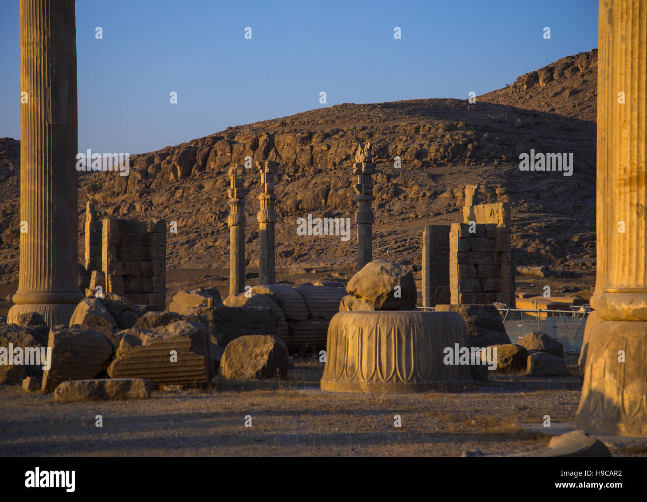 Throne room or room of a hundred columns in persepolis, Fars province ...