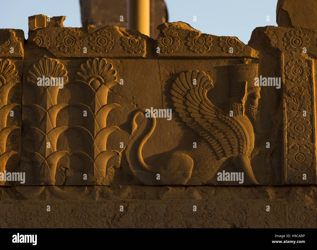 Relief in apadana palace persepolis, Fars province, Marvdasht, Iran ...