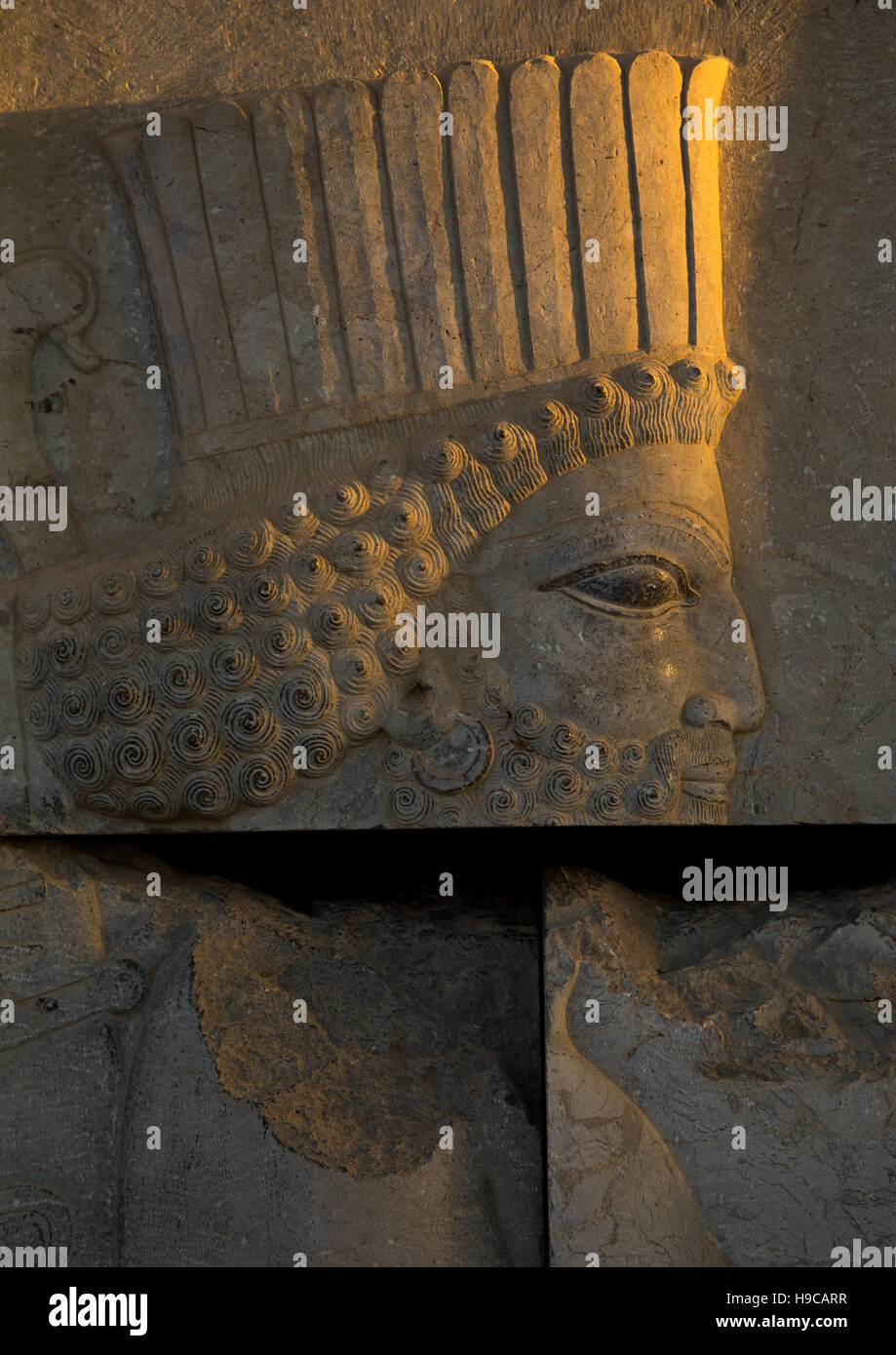 Bas-relief of a persian guard in persepolis, Fars province, Marvdasht ...
