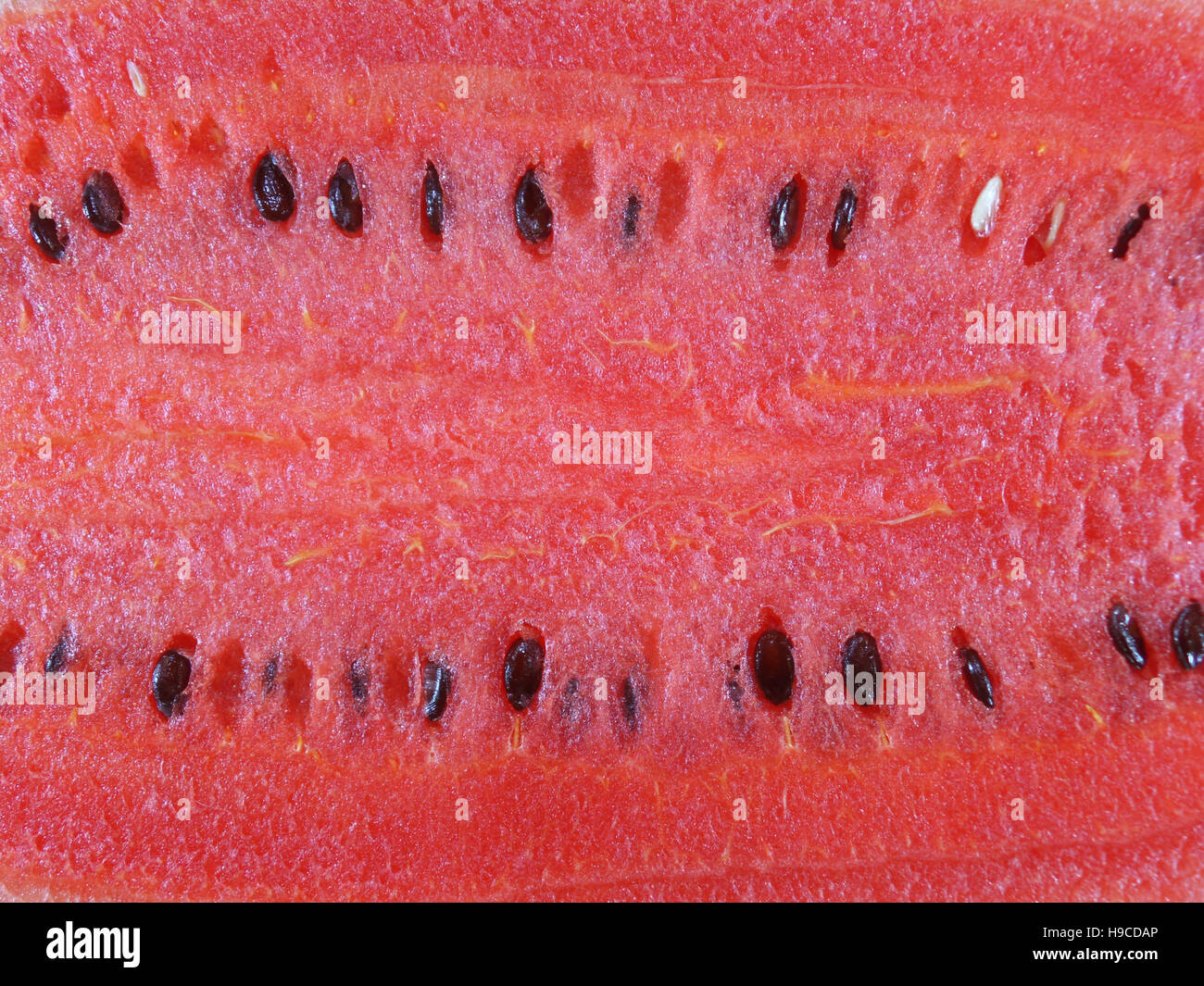 Texture of ripe red watermelon with seed, closed up for background ...