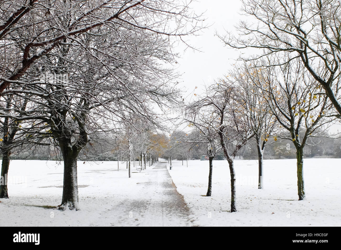 Jogger in Wibsey park, Bradford in Winter Stock Photo - Alamy