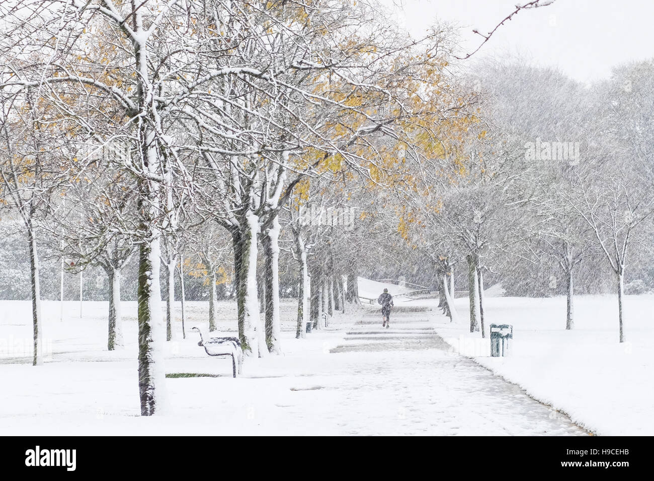 Jogger in Wibsey park, Bradford in Winter Stock Photo - Alamy