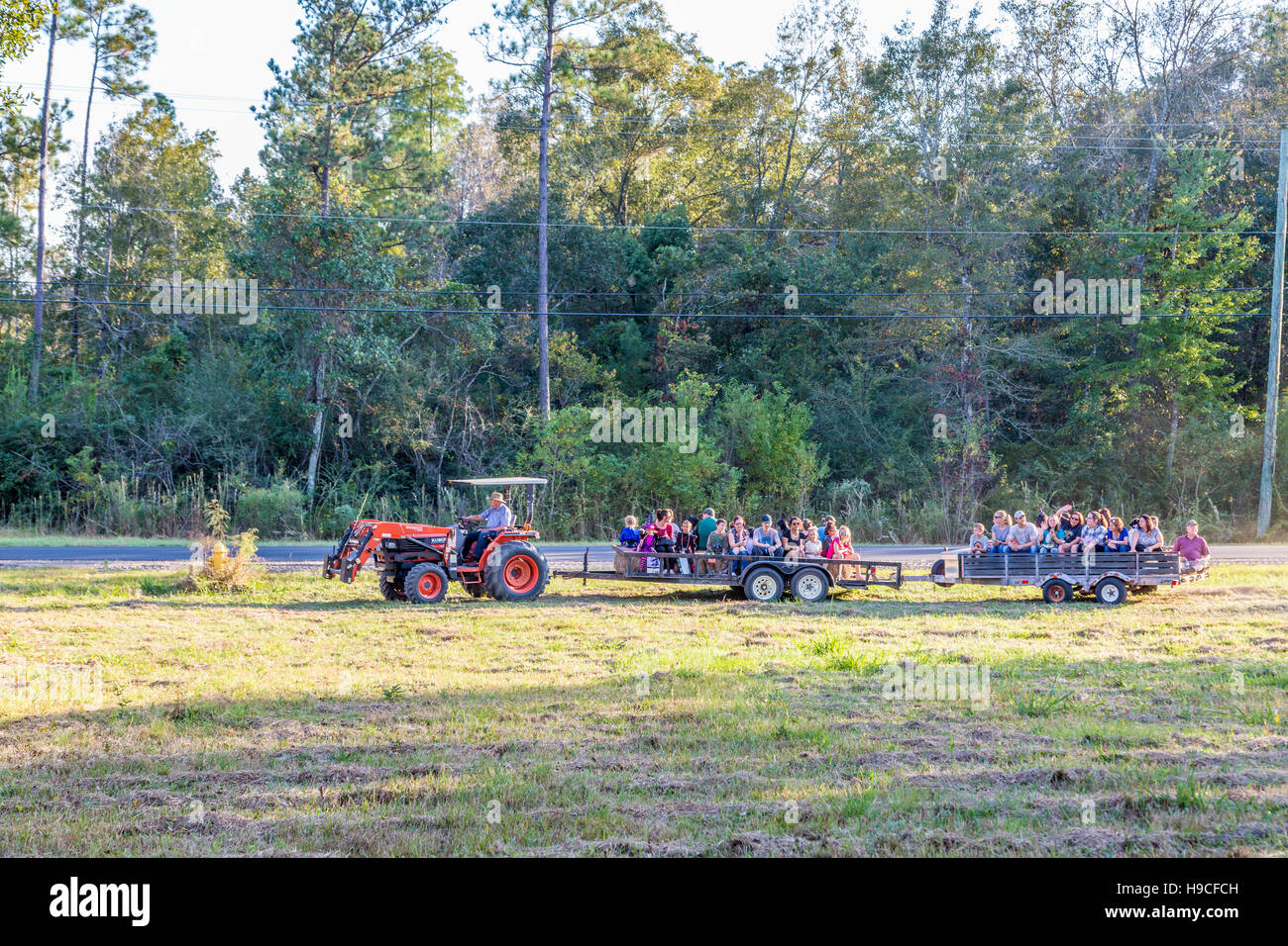 Tractor pulls trailers of guests on a hay ride at a Baptist fall ...