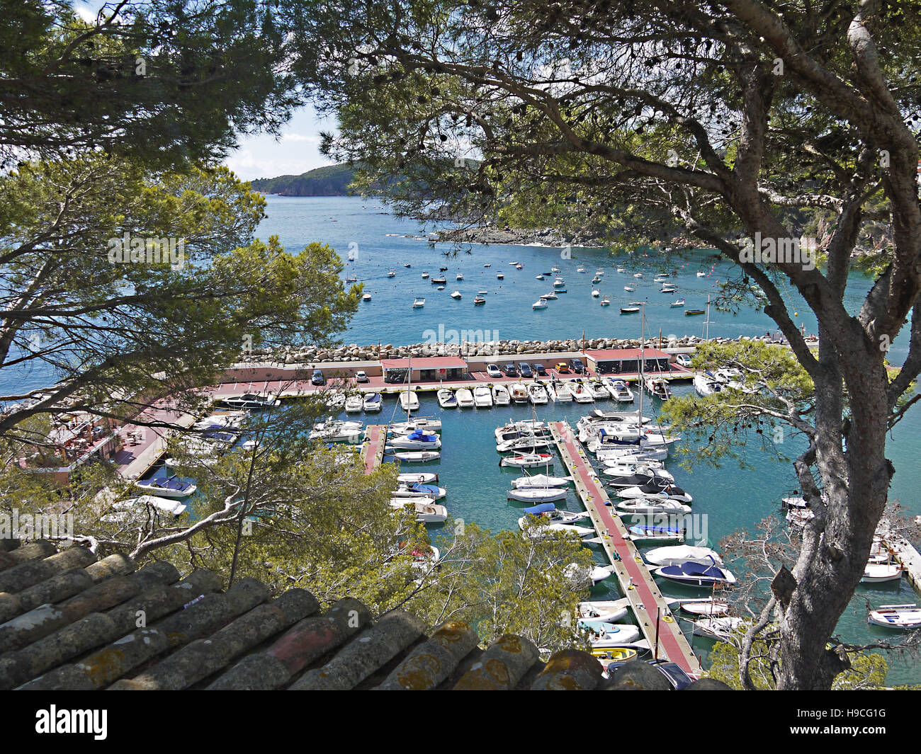 The harbour in the seaside resort of Llafranc in Spain on the Costa ...