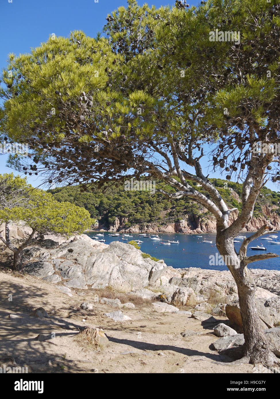 The bay of Tamariu, Spain, Catalonia, Emporda, Costa Brava Stock Photo ...