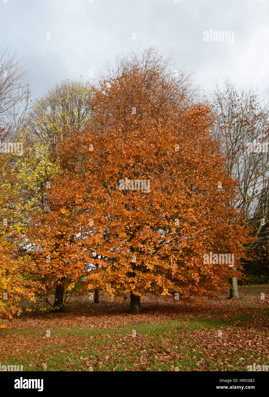 Jubilee campus nottingham university amenities hi-res stock photography ...