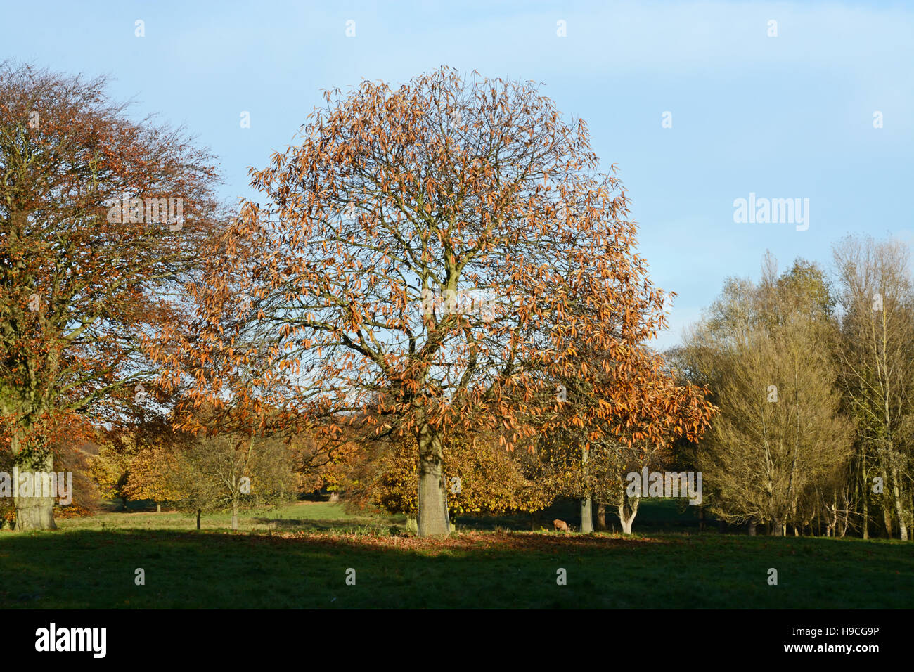 Jubilee Campus Nottingham University Amenities High Resolution Stock ...