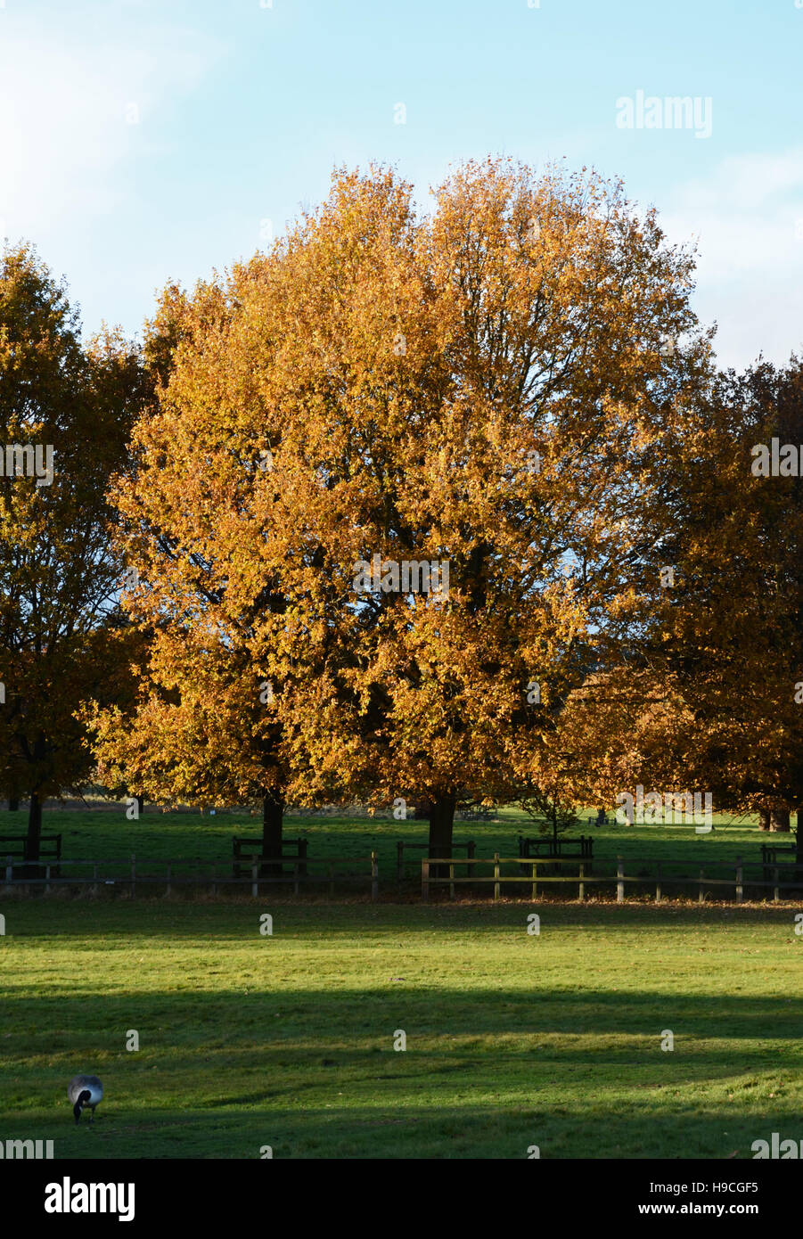 Jubilee campus nottingham university amenities hi-res stock photography ...