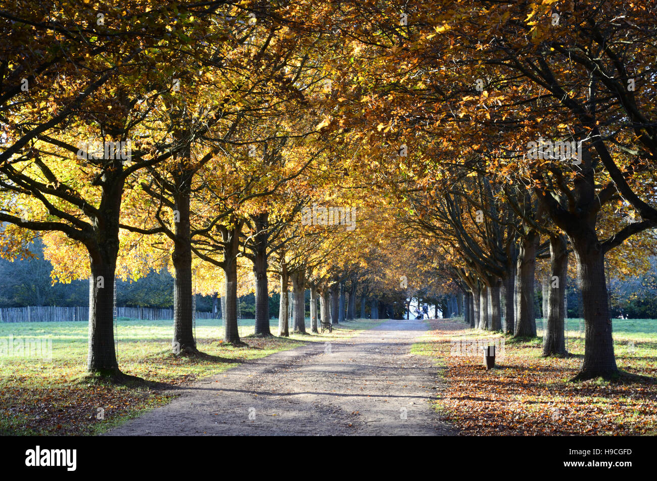 Jubilee Campus Nottingham University Amenities High Resolution Stock ...