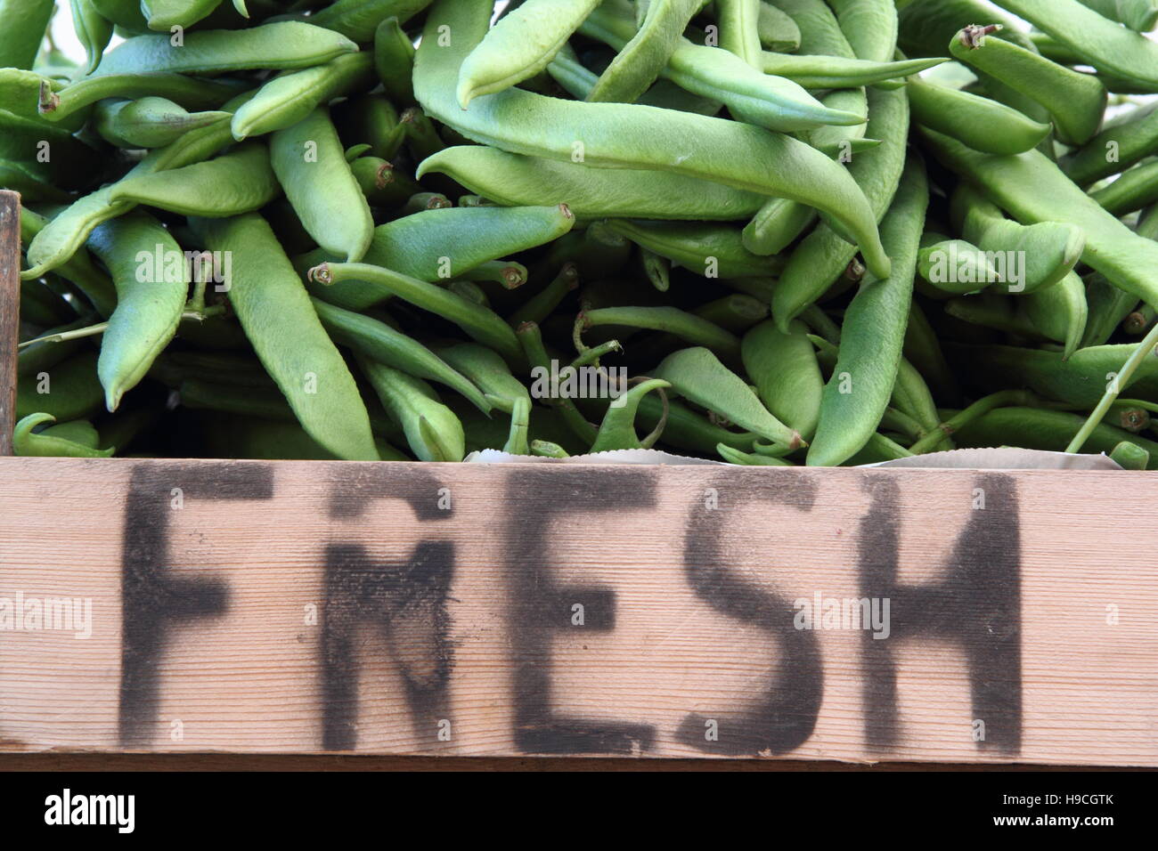 Freshly harvested runner beans on display in a wooden box traditional ...