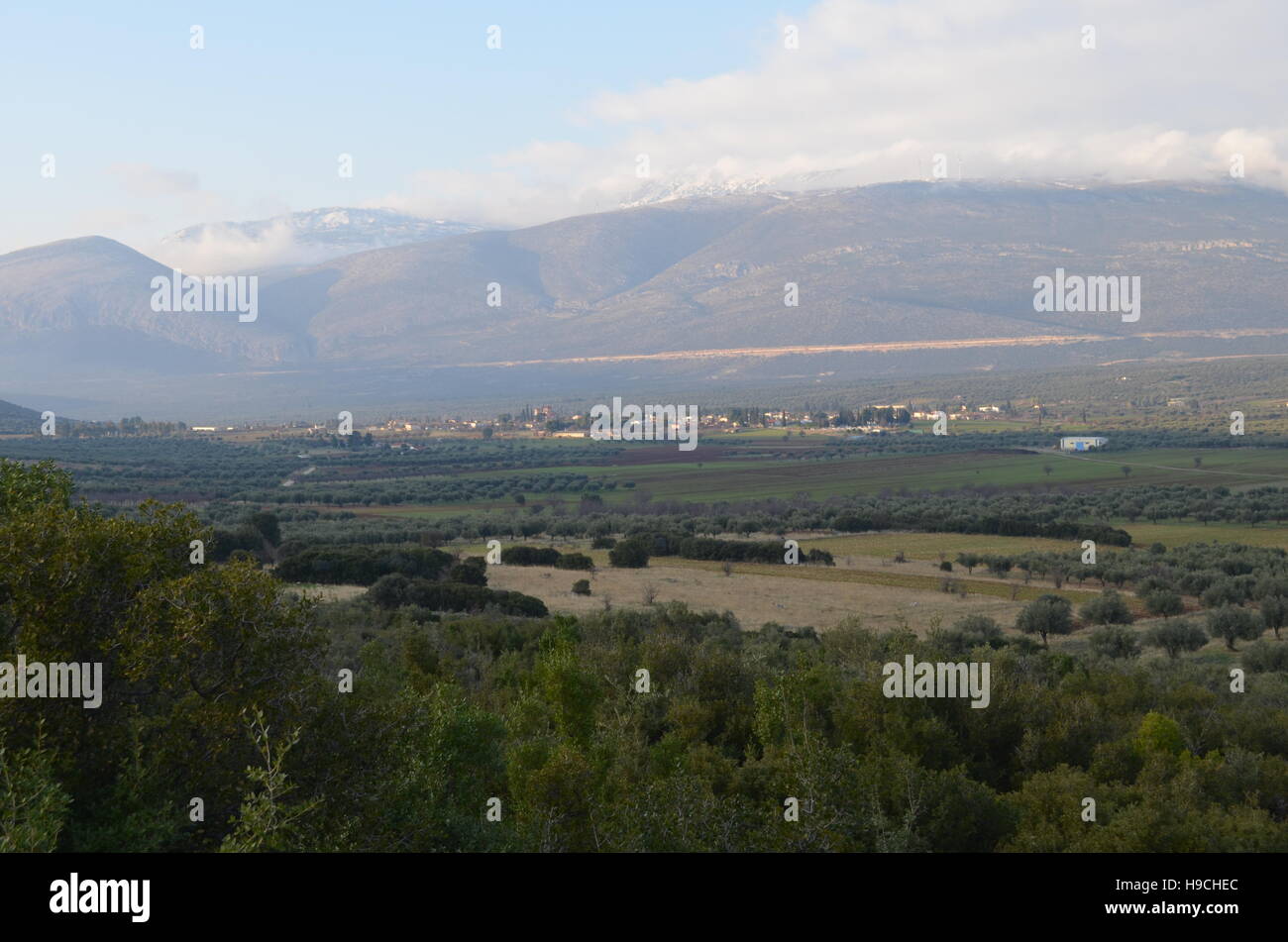 Photography of nature in the open space Stock Photo - Alamy