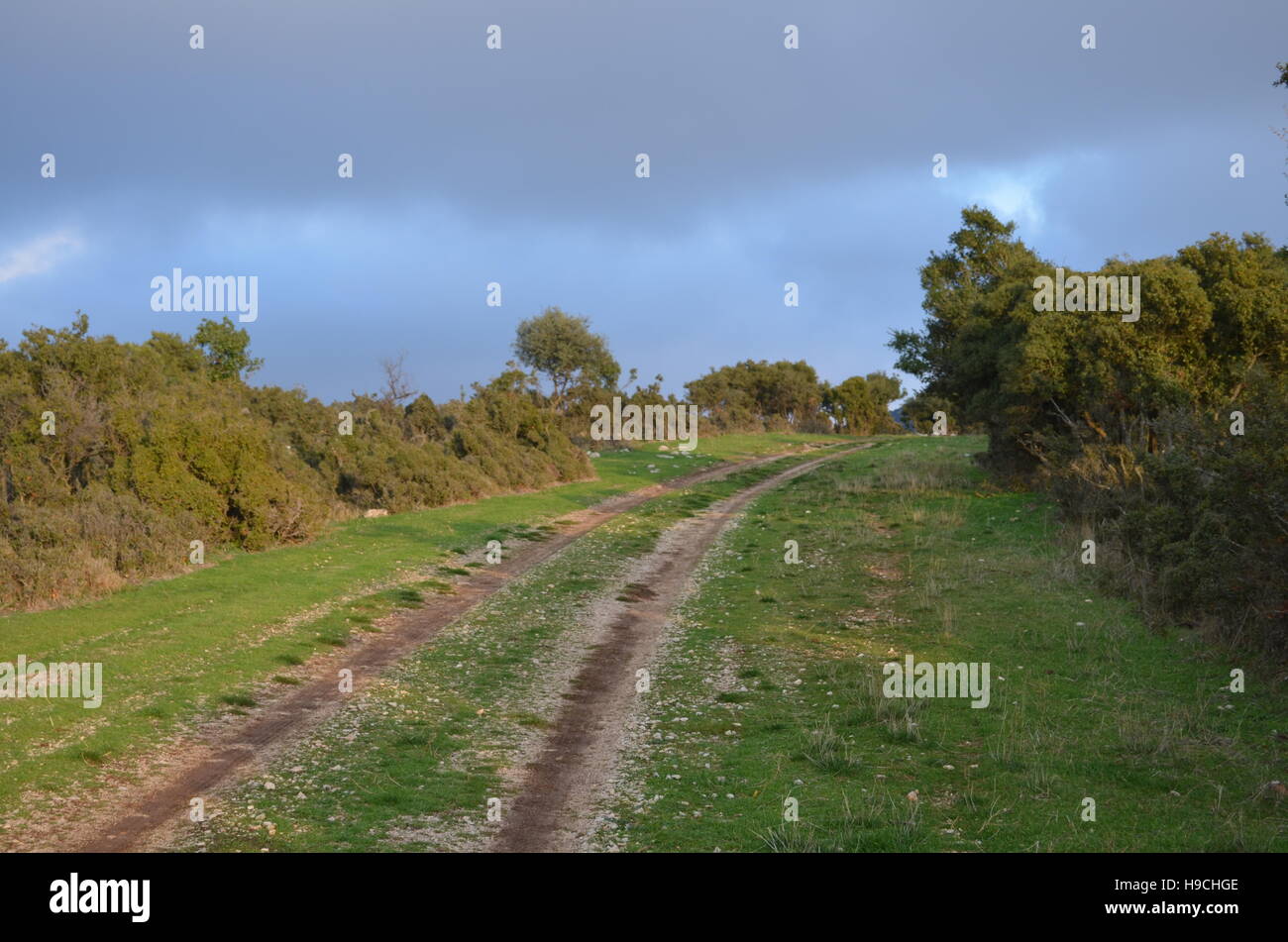 Nature photography out in the open space Stock Photo - Alamy