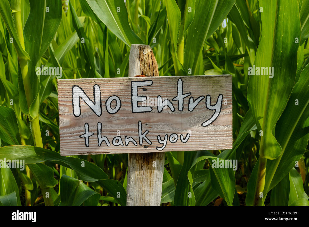 No entry sign in open garden Stock Photo - Alamy