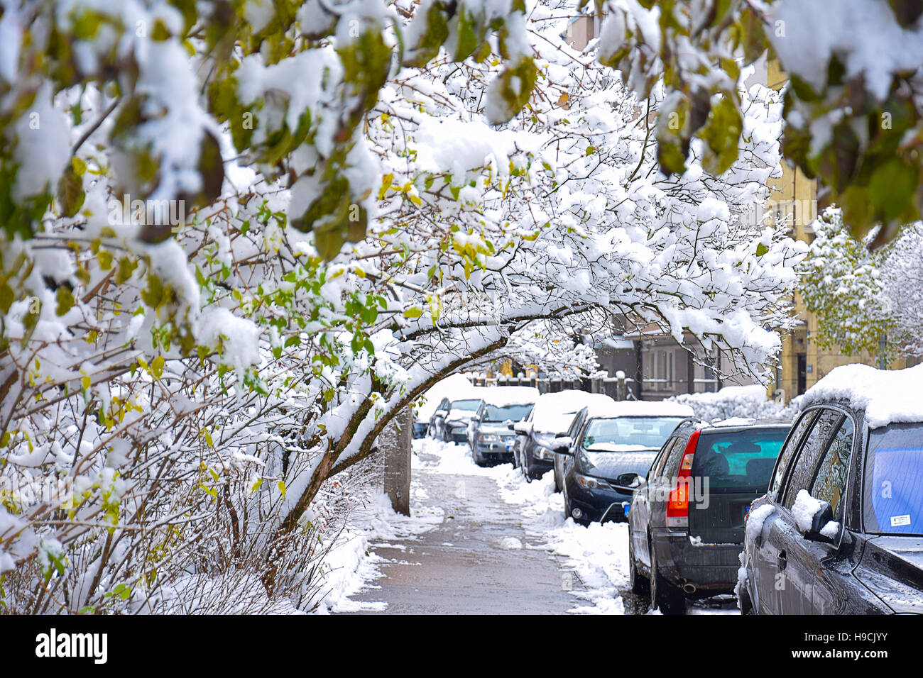 Snowy street in the city Stock Photo - Alamy