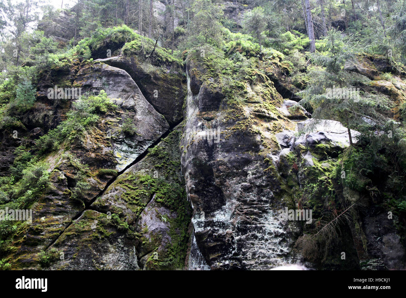 Nature Saxony Switzerland Stock Photo - Alamy