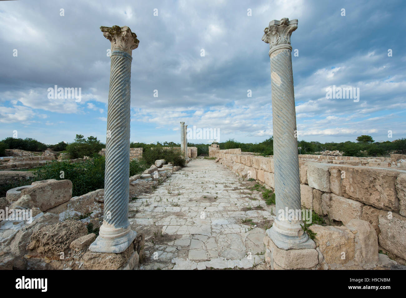 Salamis, an ancient Greek city-state on the east coast of Cyprus Stock ...