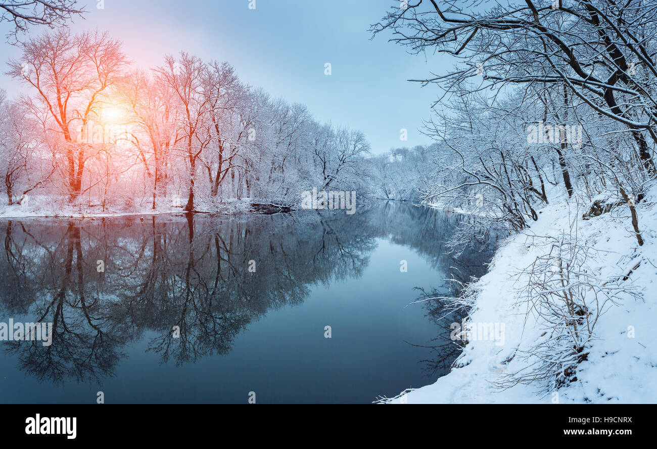 Winter forest on the river at sunset. Panoramic landscape with snowy ...