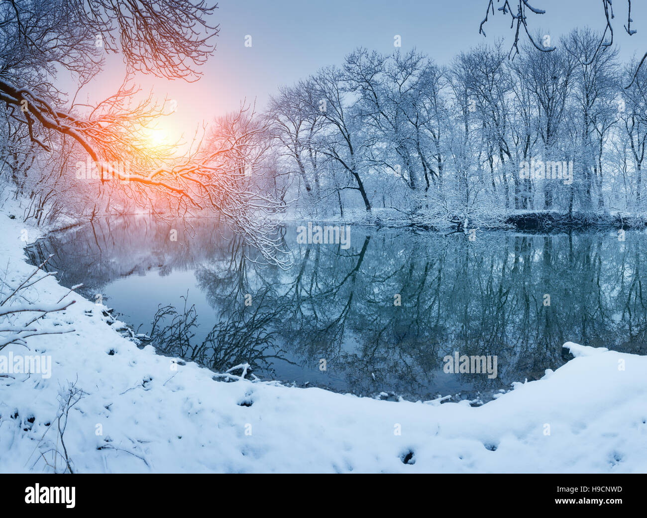 Winter forest on the river at sunset. Panoramic landscape with snowy ...