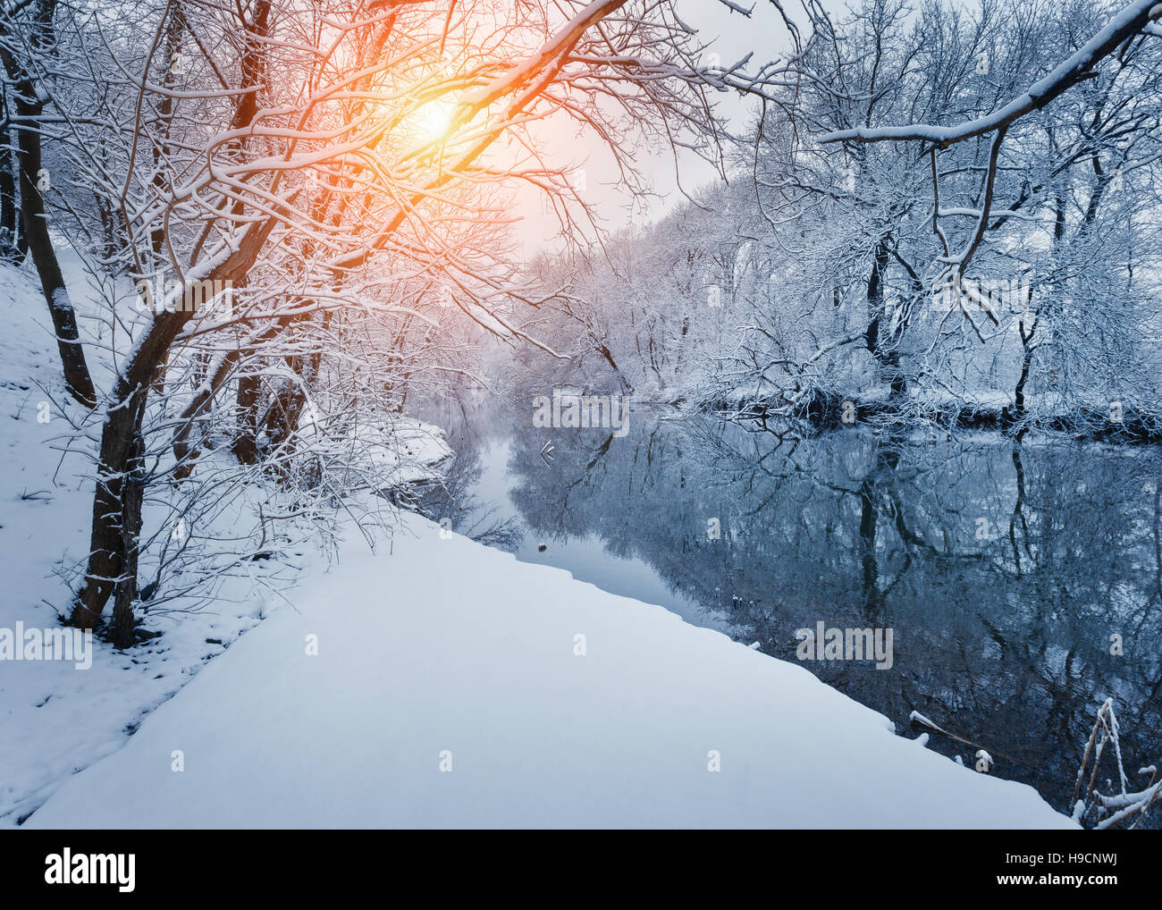 Winter forest on the river at sunset. Colorful landscape with snowy ...