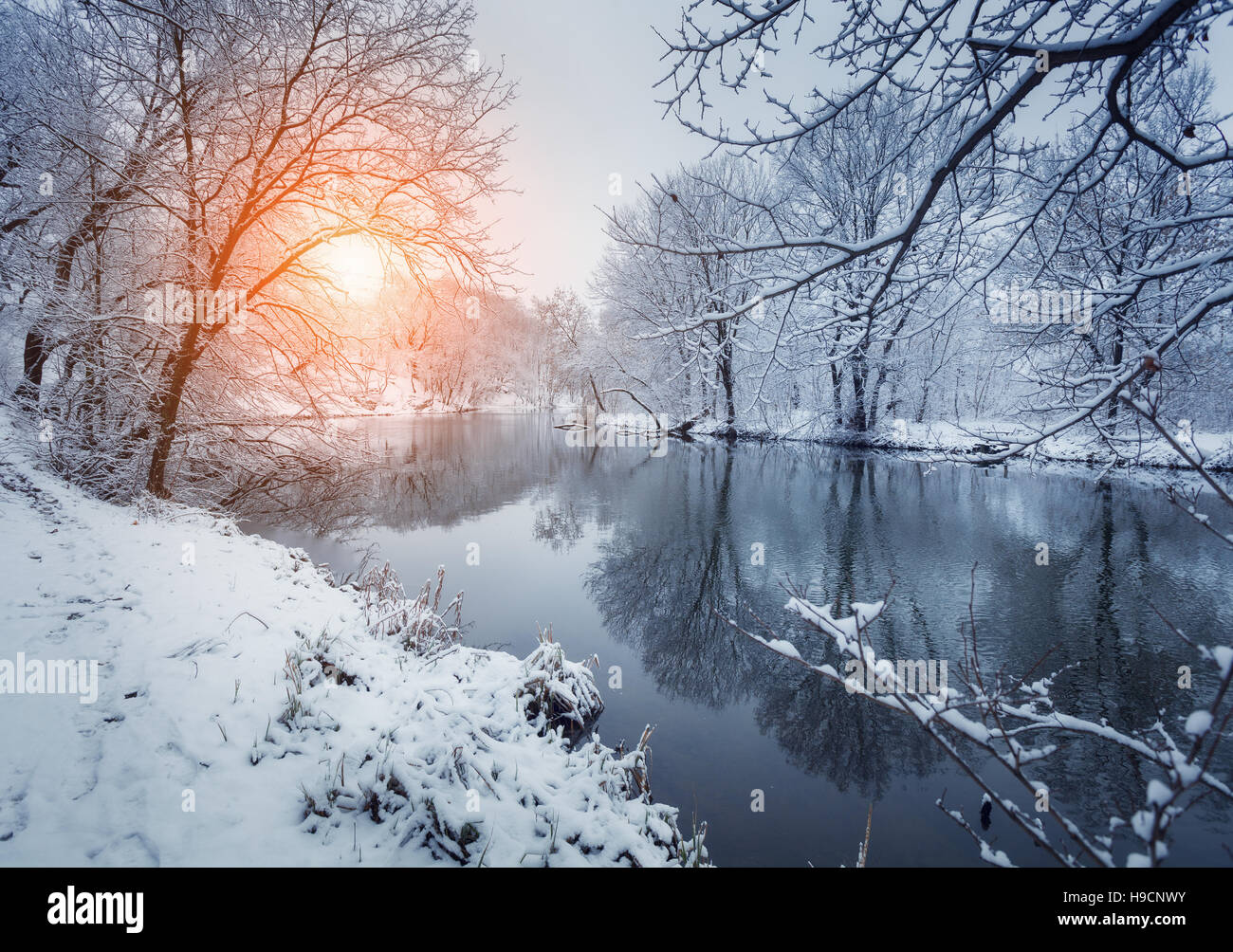 Winter forest on the river at sunset. Colorful landscape with snowy ...