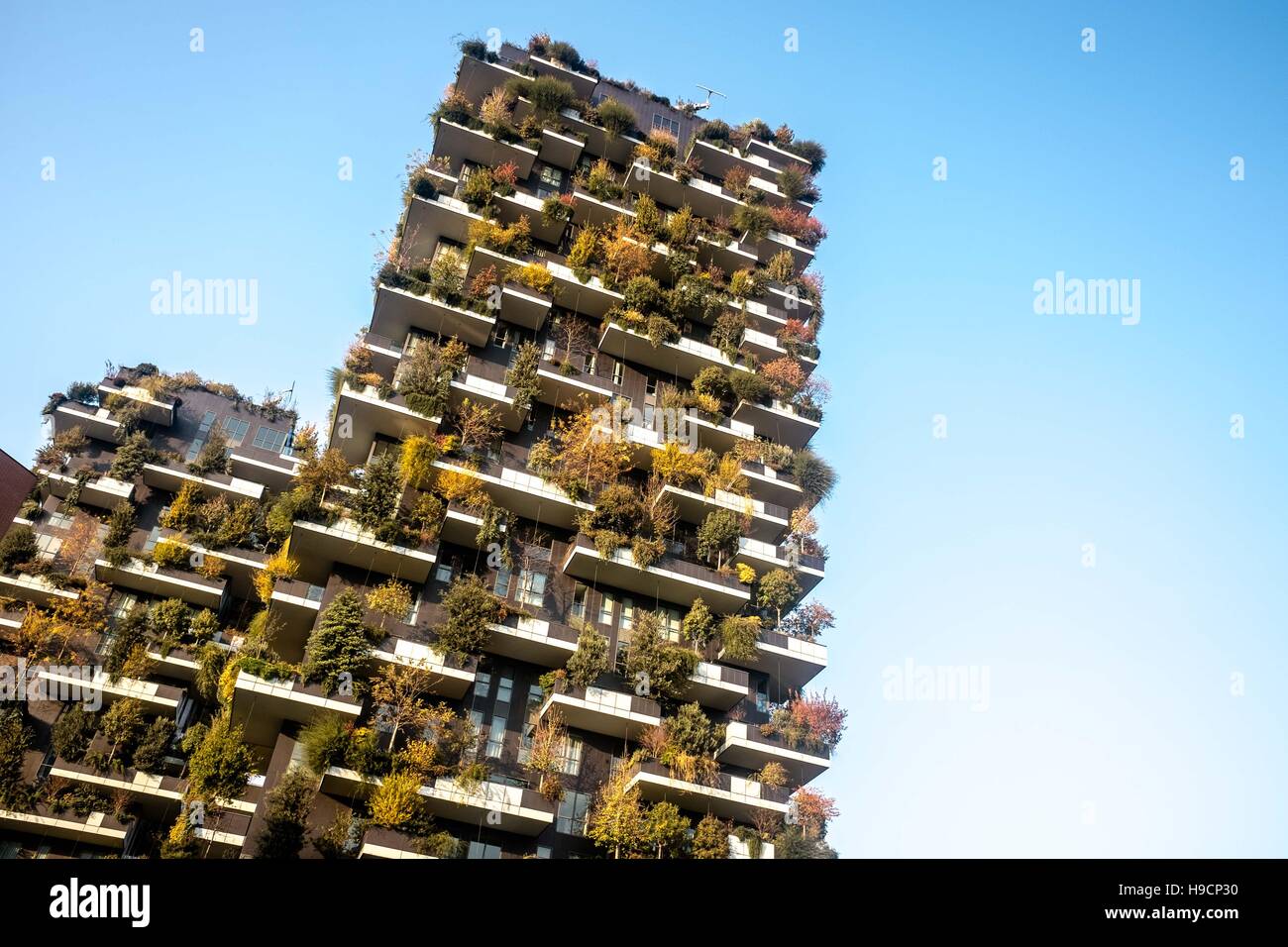 Bosco Verticale buildings in autumn, at the Porta Nuova complex, Milan ...