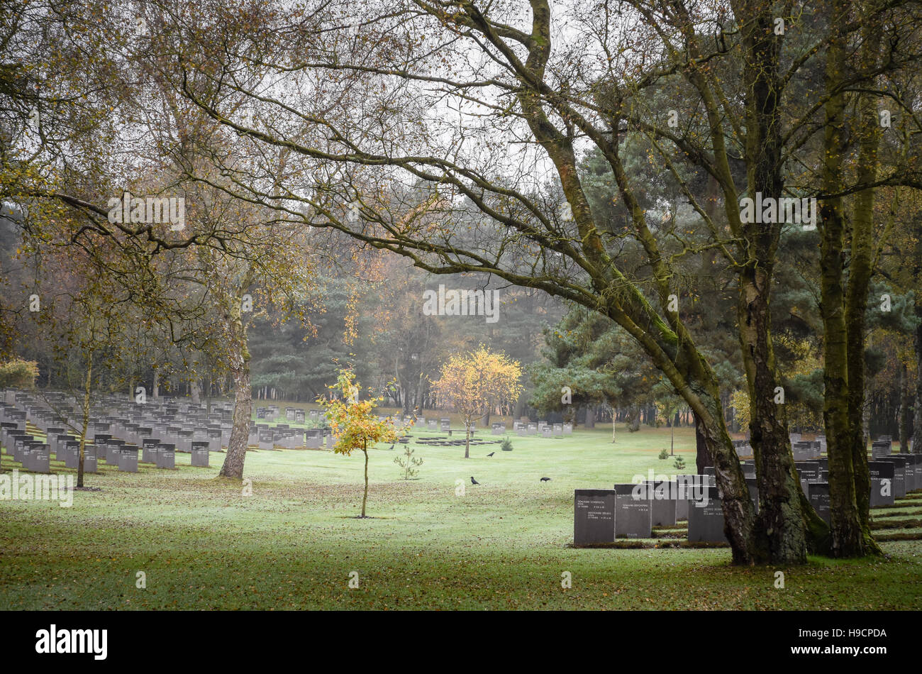 Cannock Chase German Military War Cemetery Stock Photos & Cannock Chase ...