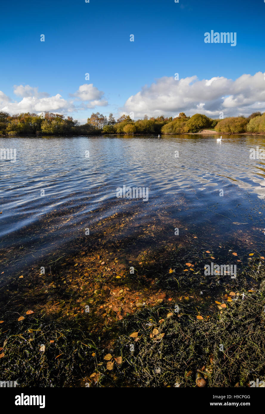 Chasewater Country Park, Staffordshire, England. A sunny autumn ...