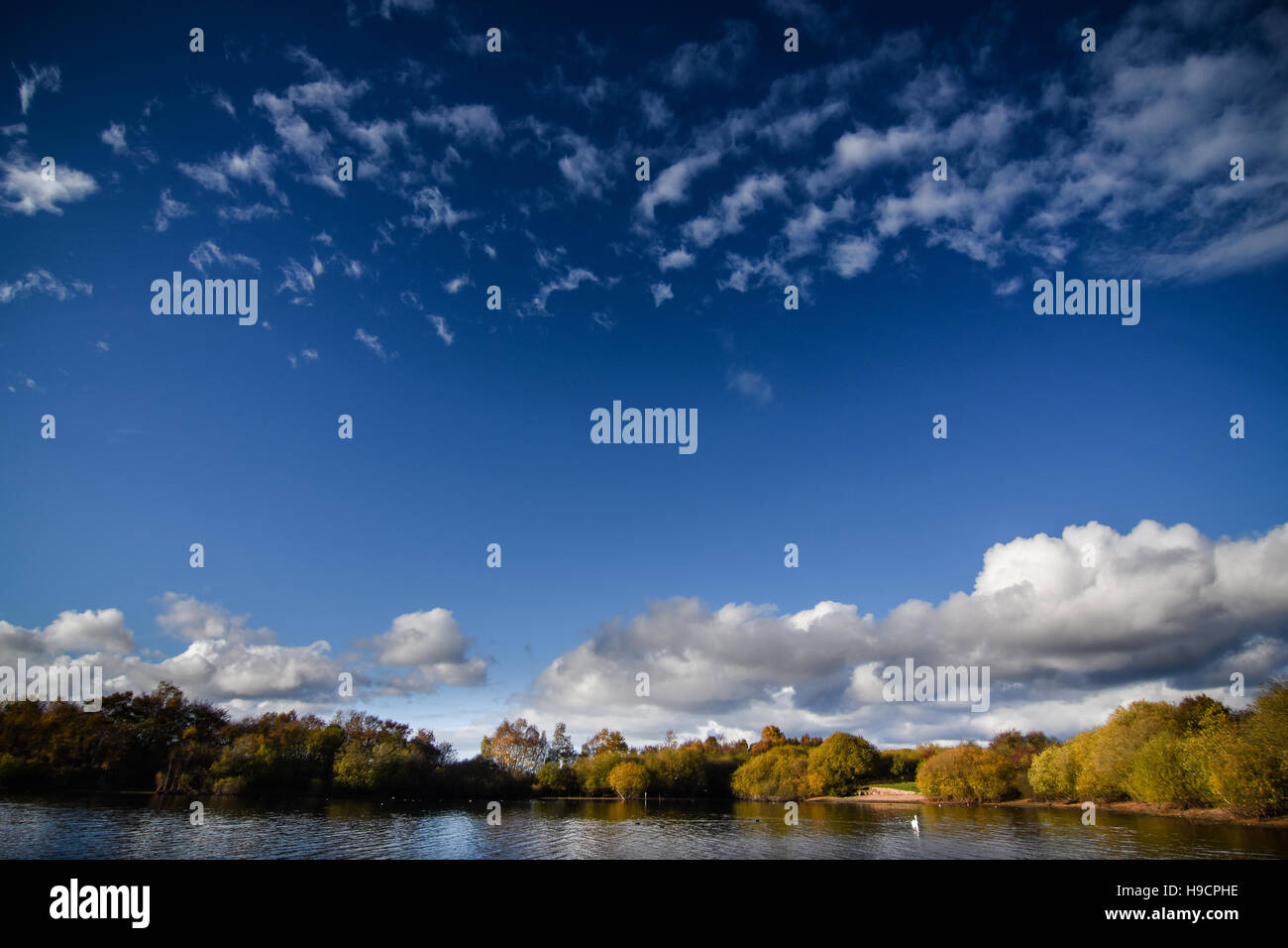 Chasewater country park hi-res stock photography and images - Alamy