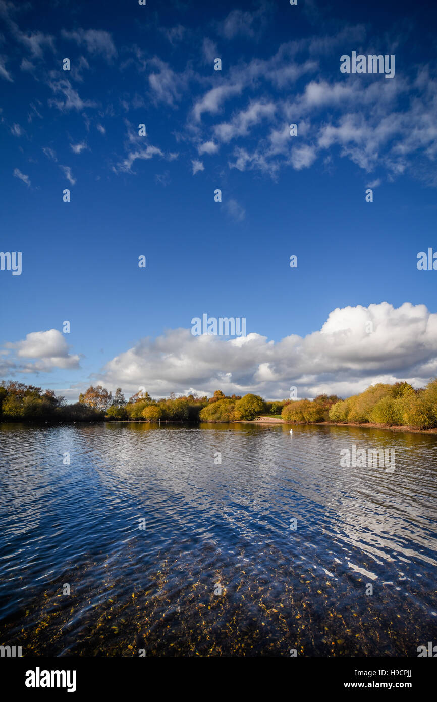Chasewater country park hi-res stock photography and images - Alamy