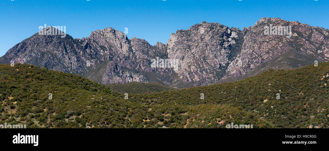 The Four Peaks rising above a high desert forest of oak trees in the ...