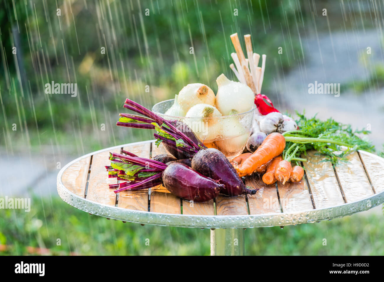 Summer rain and vegetables Stock Photo - Alamy