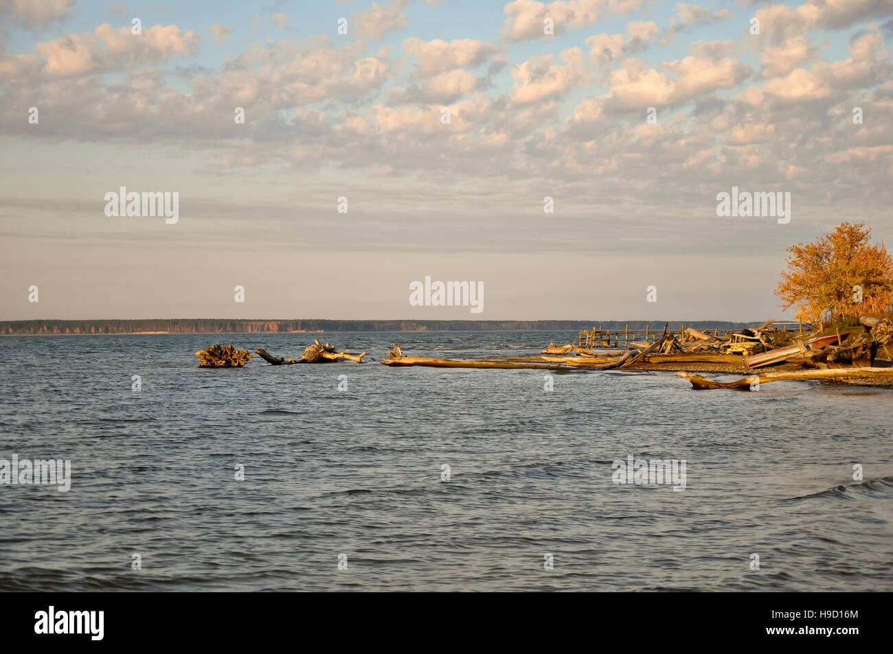 Stump on the seashore. Sunset river landscape Stock Photo - Alamy