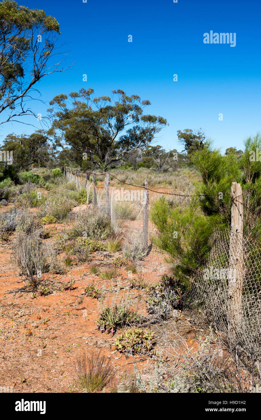 Rabbit Proof Fence Australia Stock Photos & Rabbit Proof Fence ...