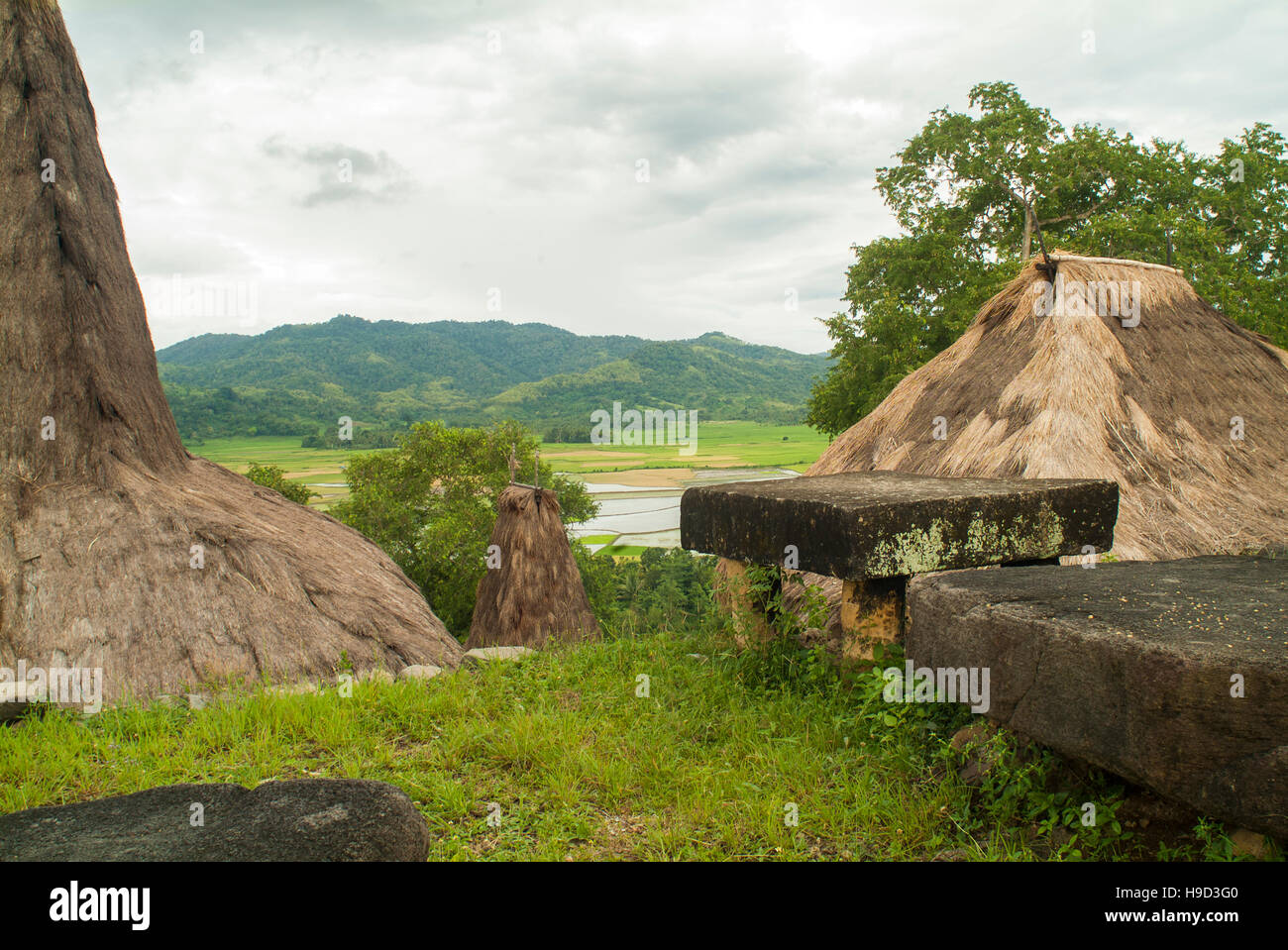 Sumba stone tombs tomb hi-res stock photography and images - Alamy