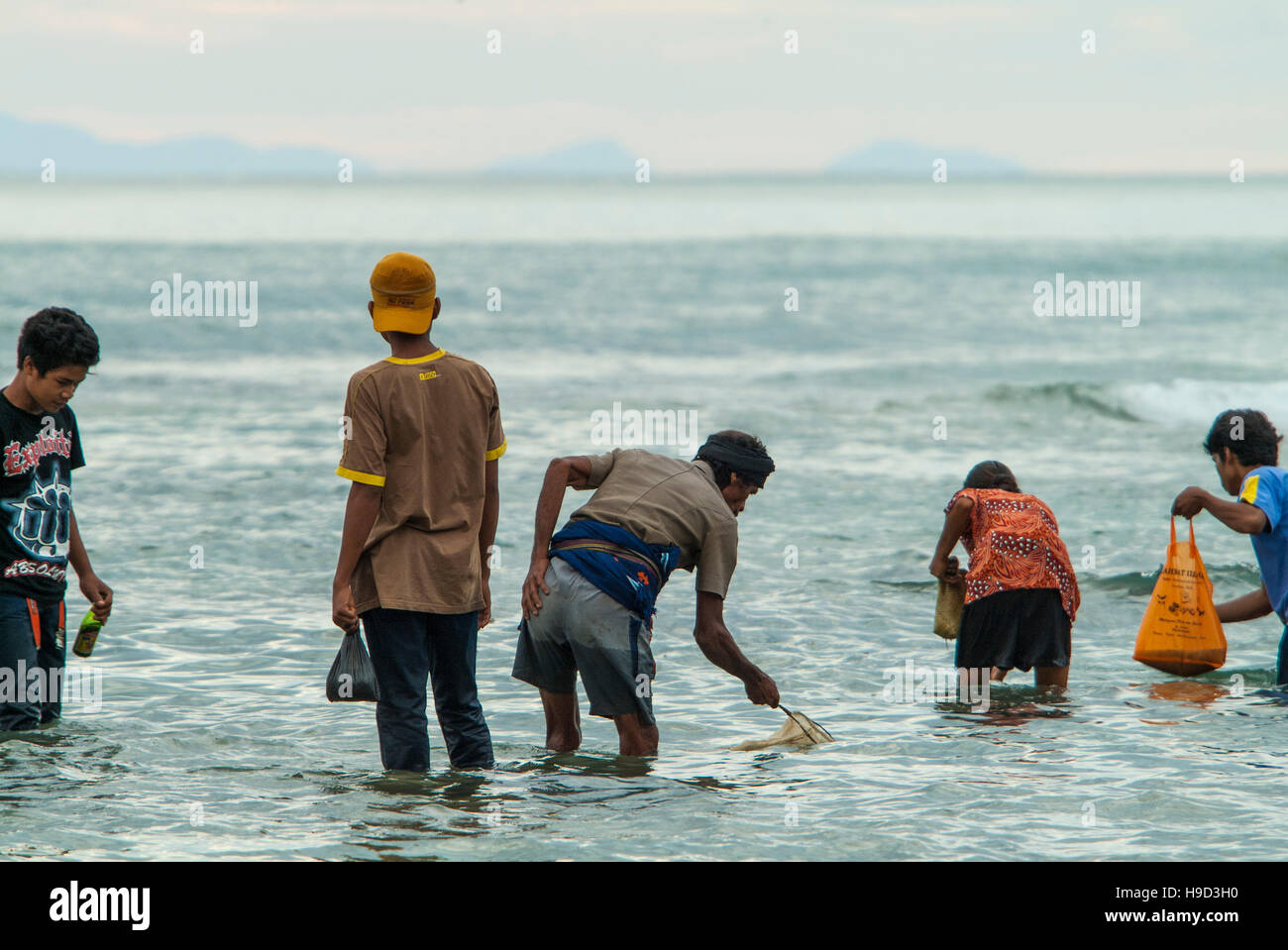 People collecting a sea worm called nyale, whose arrival heralds the ...