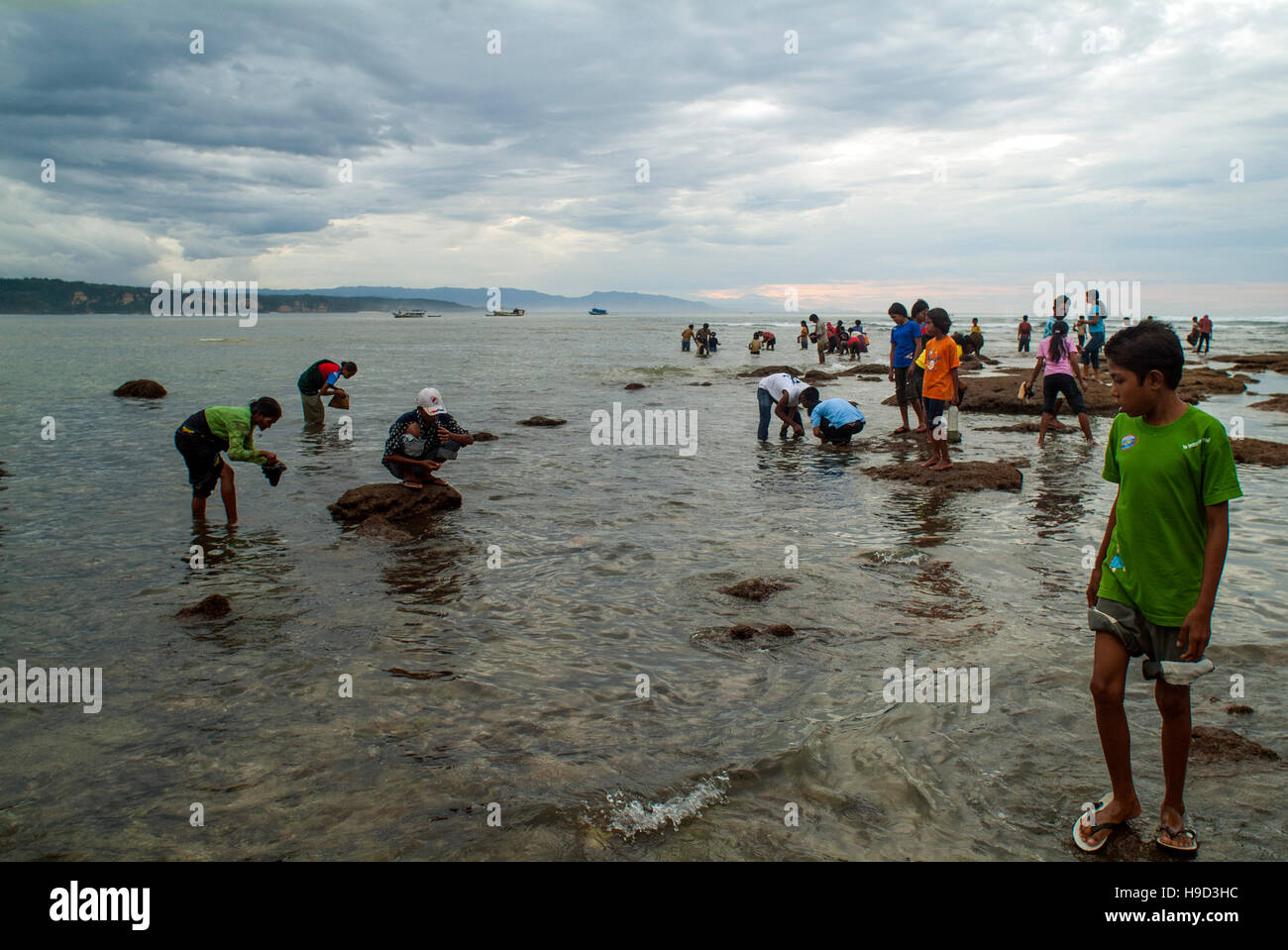 People collecting a sea worm called nyale, whose arrival heralds the ...