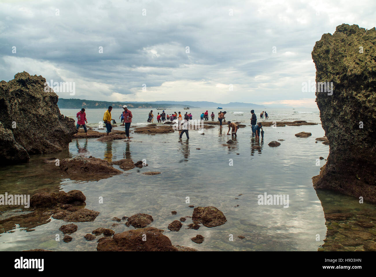 People collecting a sea worm called nyale, whose arrival heralds the ...