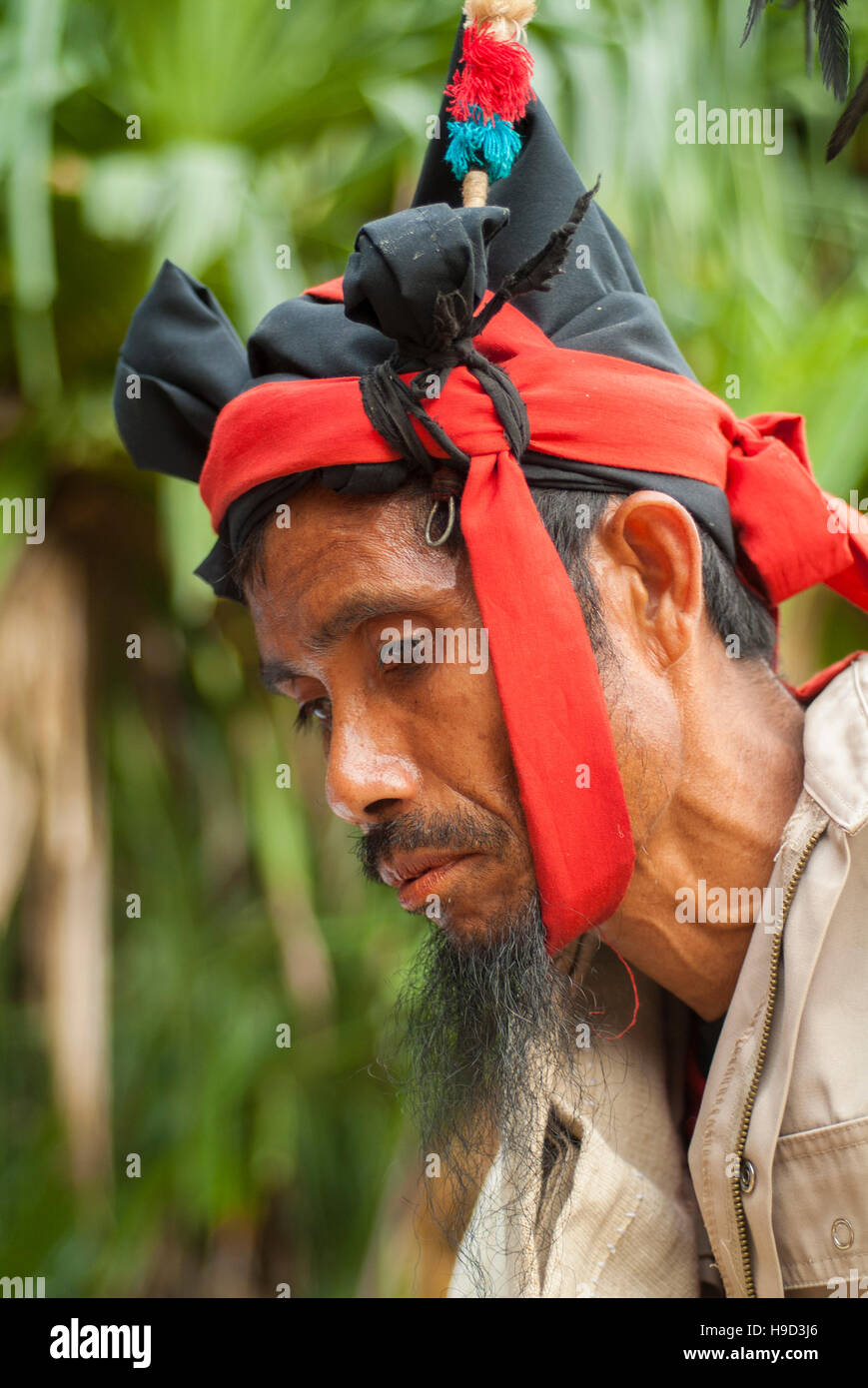 Marapu priests assessing the arrival of a sea worm called nyale which ...