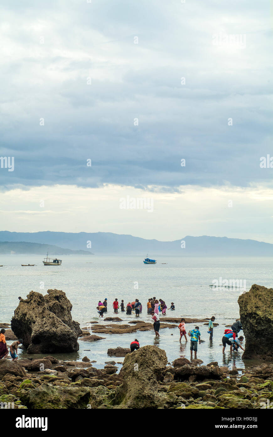 People collecting a sea worm called nyale, whose arrival heralds the ...