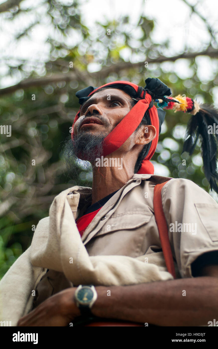 Marapu priests assessing the arrival of a sea worm called nyale which ...