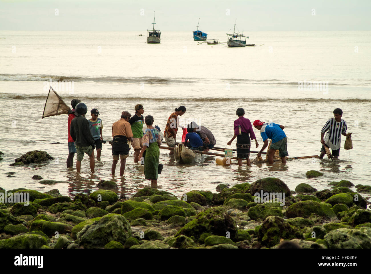 People collecting a sea worm called nyale, whose arrival heralds the ...