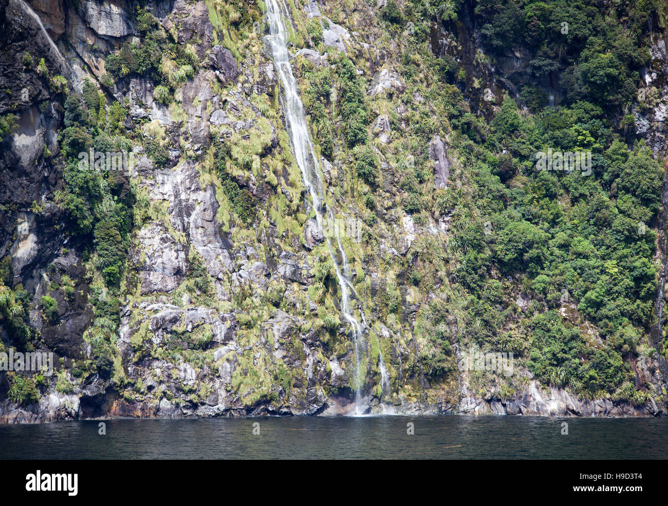 Little waterfall in Fiordland national park (New Zealand Stock Photo ...