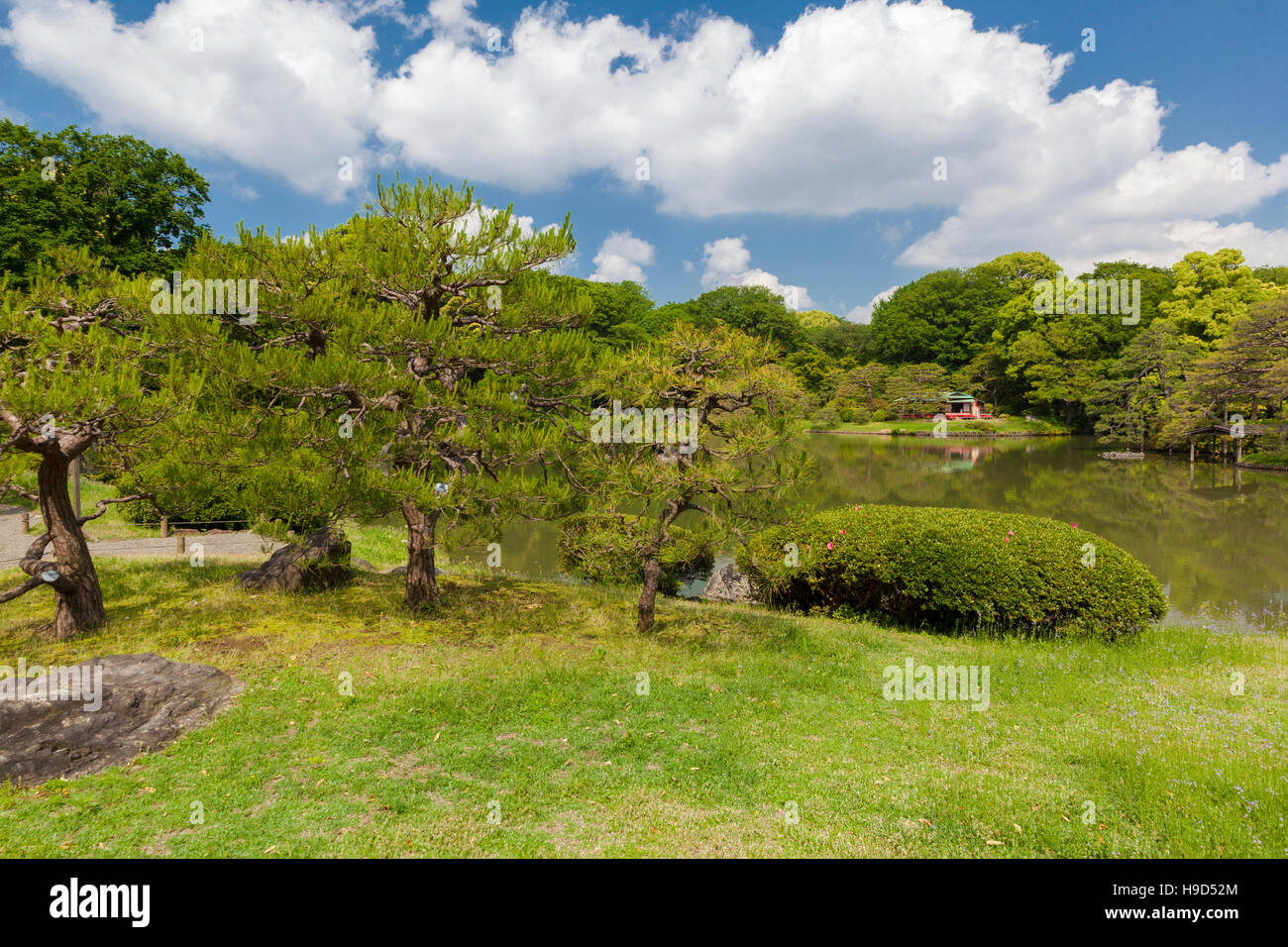 Tokyo vegetation hi-res stock photography and images - Alamy