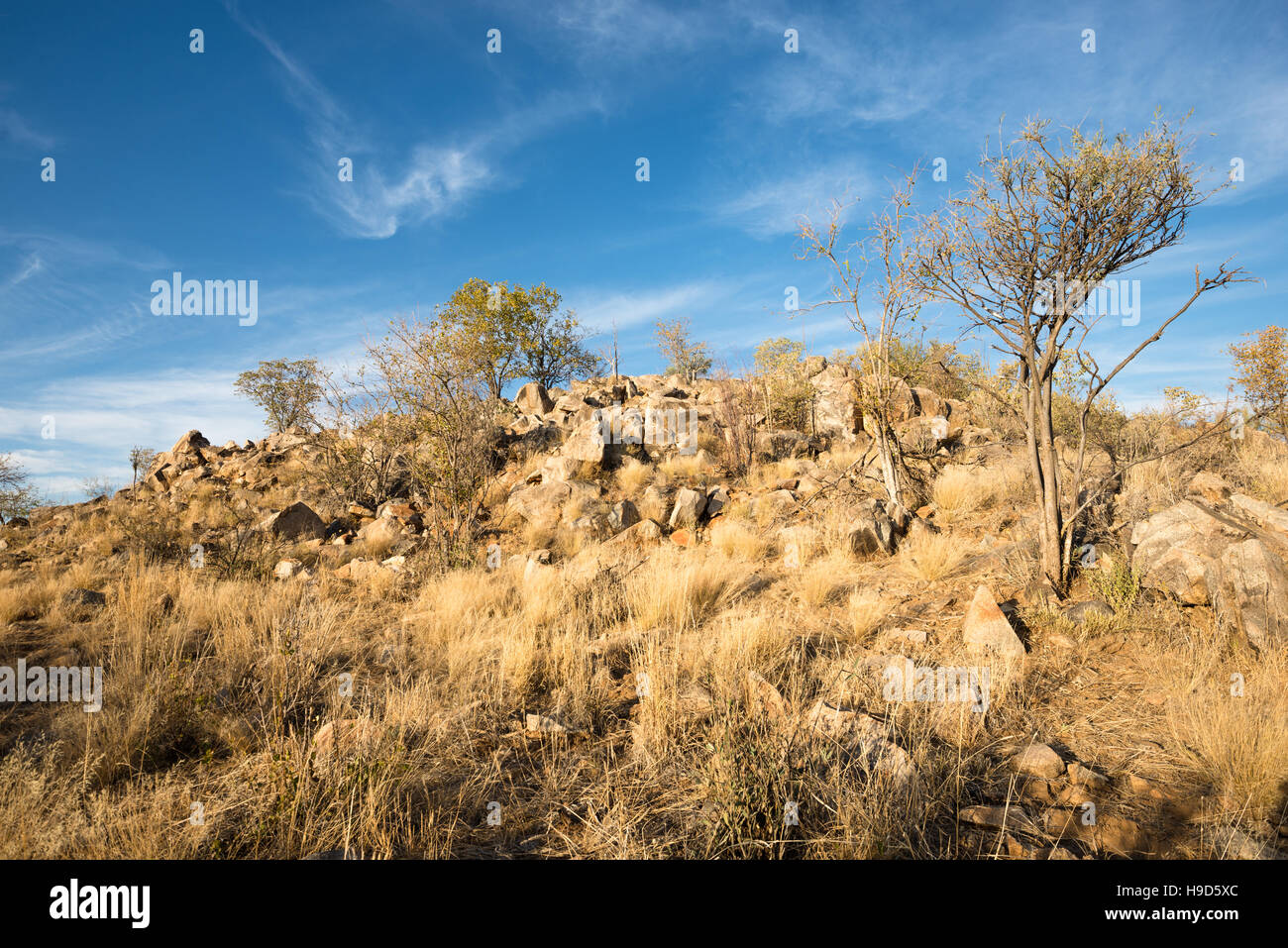 Rocky landscape of Kunene Region at Namibian winter during sunset Stock ...