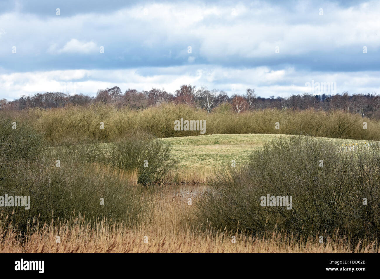 Scandinavian landscape hi-res stock photography and images - Alamy