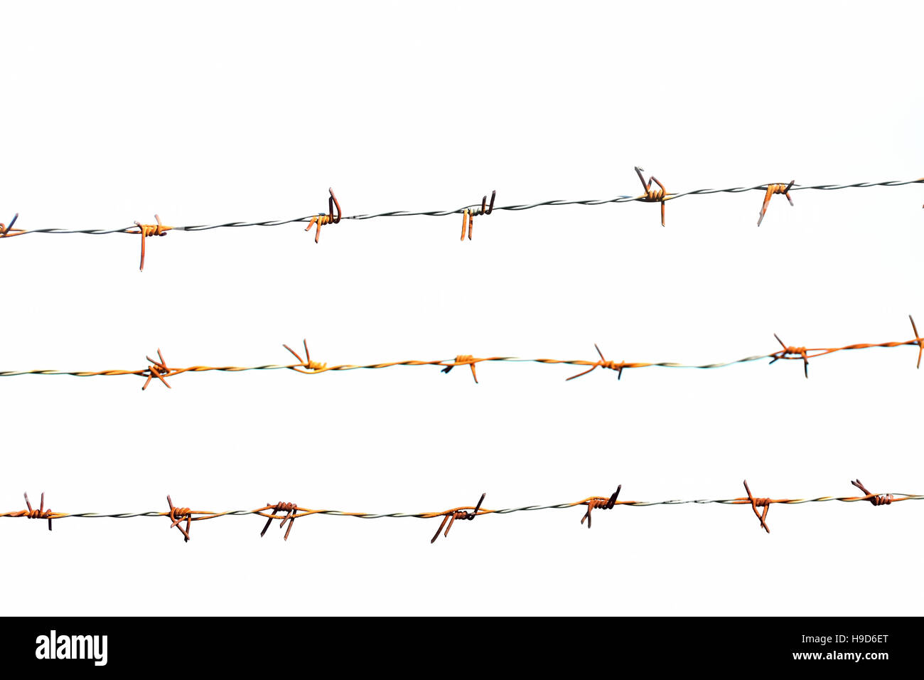 Barbed wire in white background Stock Photo - Alamy