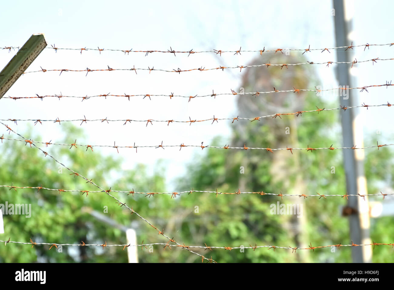 Barbed wire in jail Stock Photo - Alamy