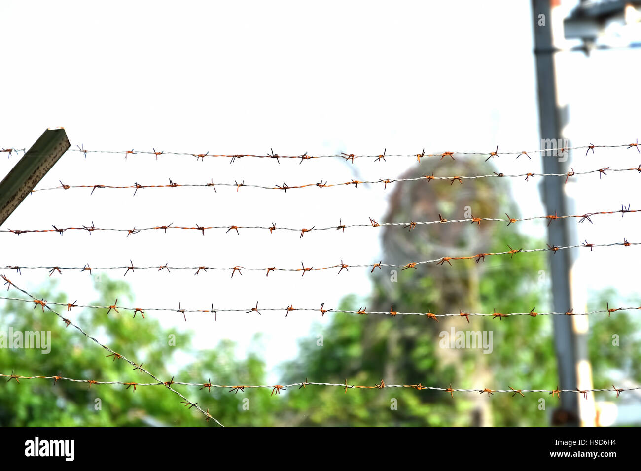 Barbed wire in jail Stock Photo - Alamy