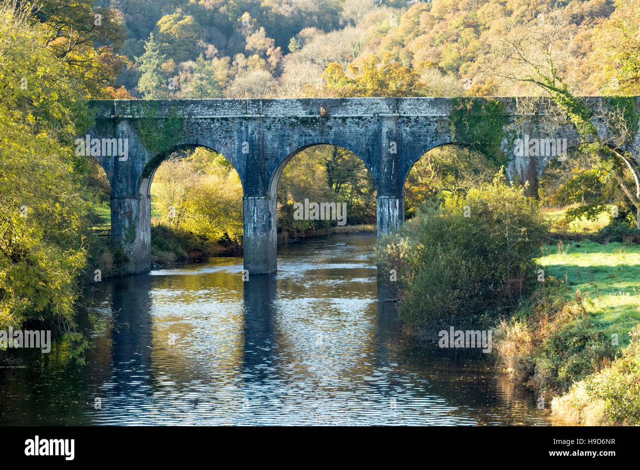 Tarka Trail Autumn View of the Beam Aqueduct Over the River Torridge ...