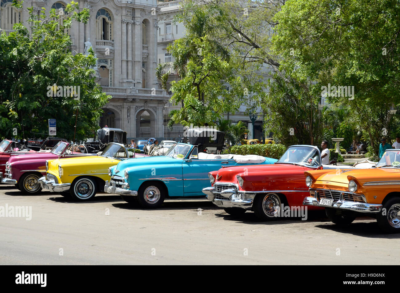 Havana, Cuba - September 1, 2015: Vintage Convertible Cars of different ...